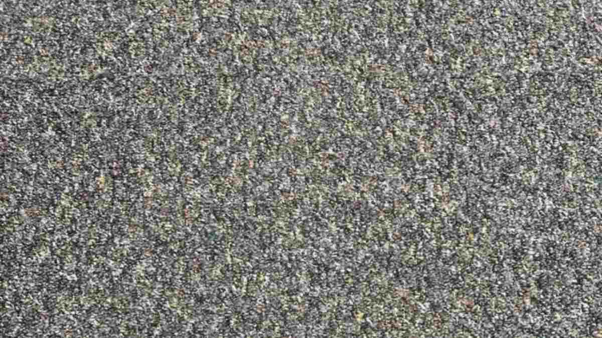 98% People Failed This Brain Teaser Optical Illusion Challenge! Spot ...