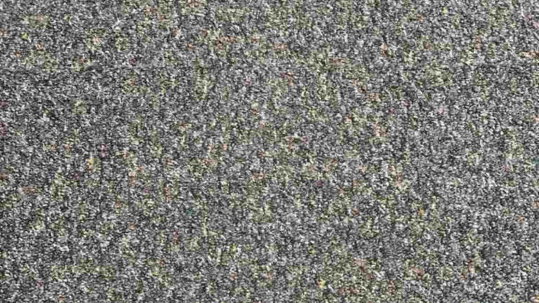 98% People Failed This Brain Teaser Optical Illusion Challenge! Spot ...
