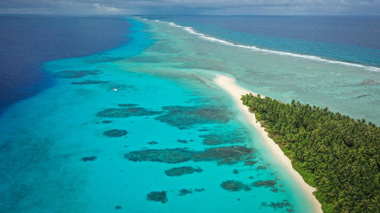 This Rarely-Visited Country Has Lively Coral Reefs, Wreck Diving, And ...