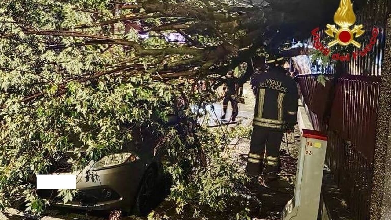 Vimercate, un albero precipita su un’auto in sosta: lampi e grandine in Brianza