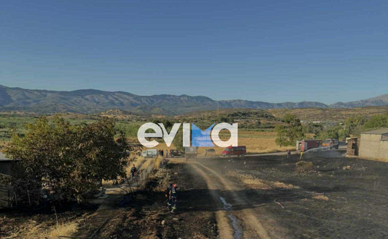 Φωτιά στην Εύβοια: Σε νοσοκομείο της Αθήνας μεταφέρεται για να ...