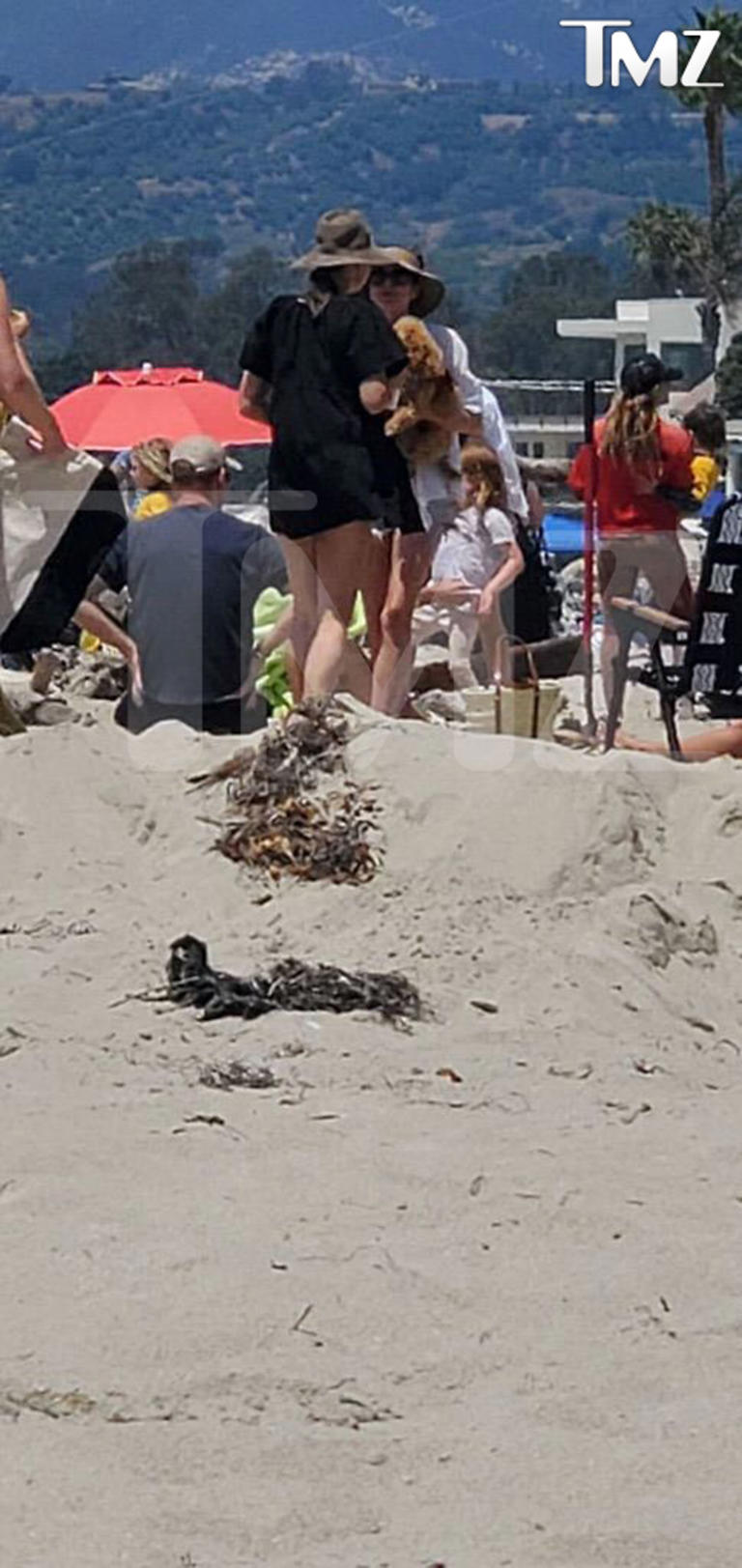 Prince Harry and Meghan Markle spotted on family beach outing as son ...