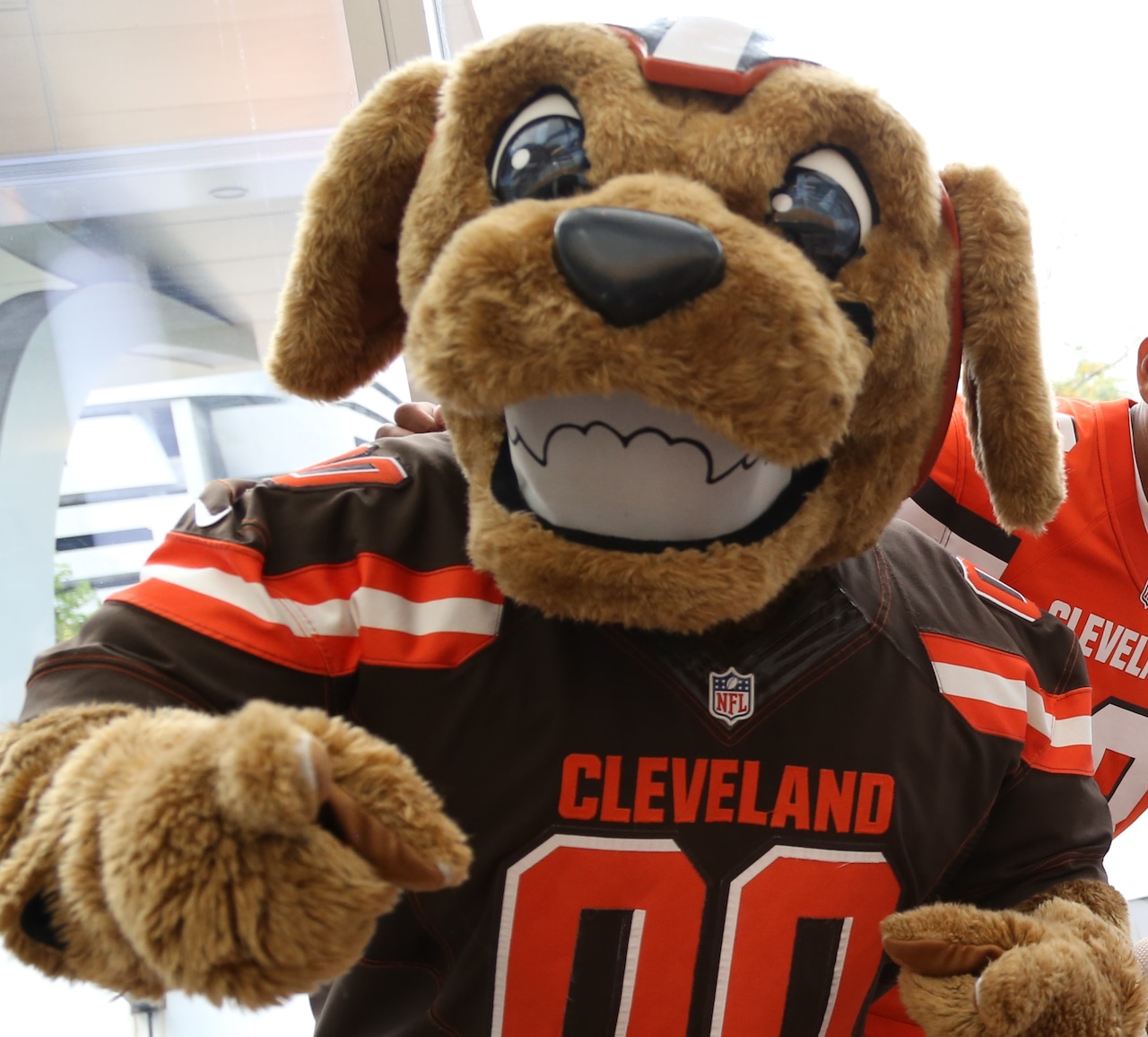 5 Facts About Cleveland Browns Mascot Chomps