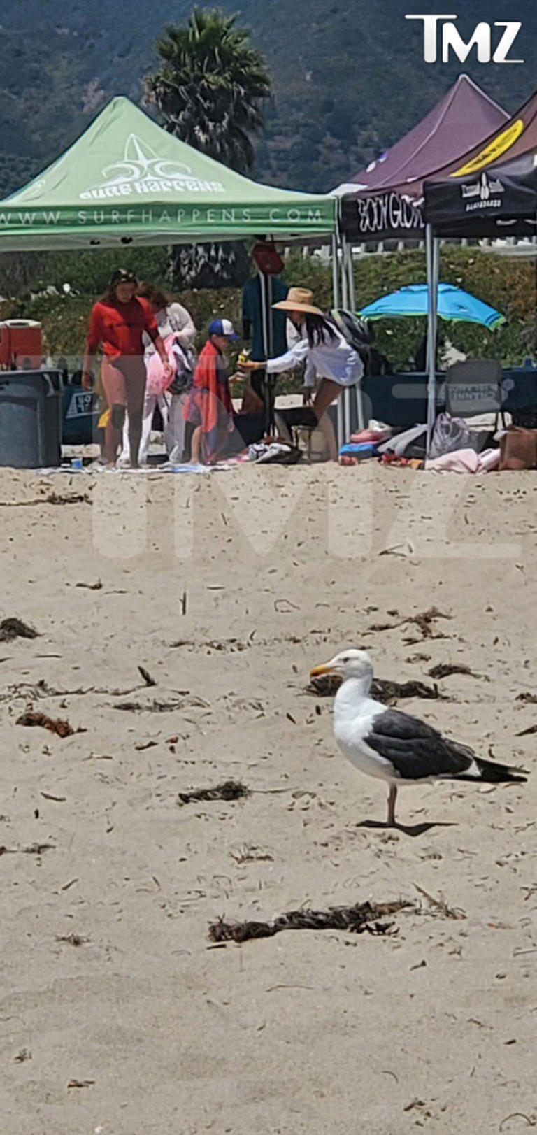 Prince Harry and Meghan Markle spotted on family beach outing as son ...