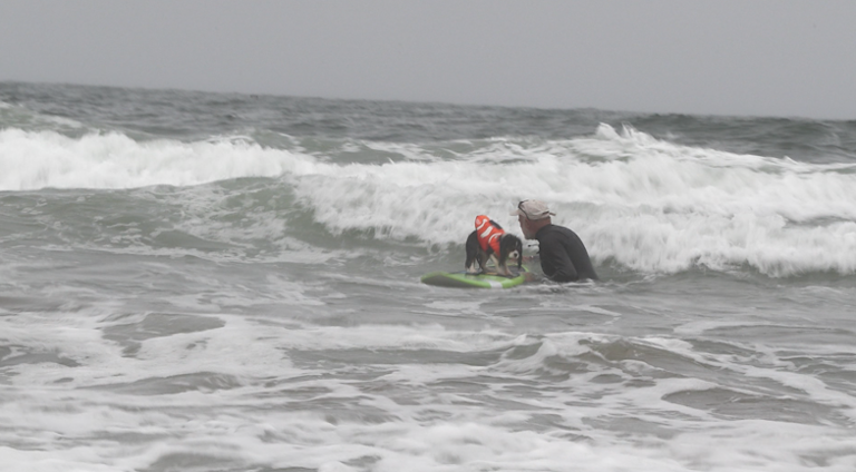 World Dog Surfing Championship returns to Pacifica