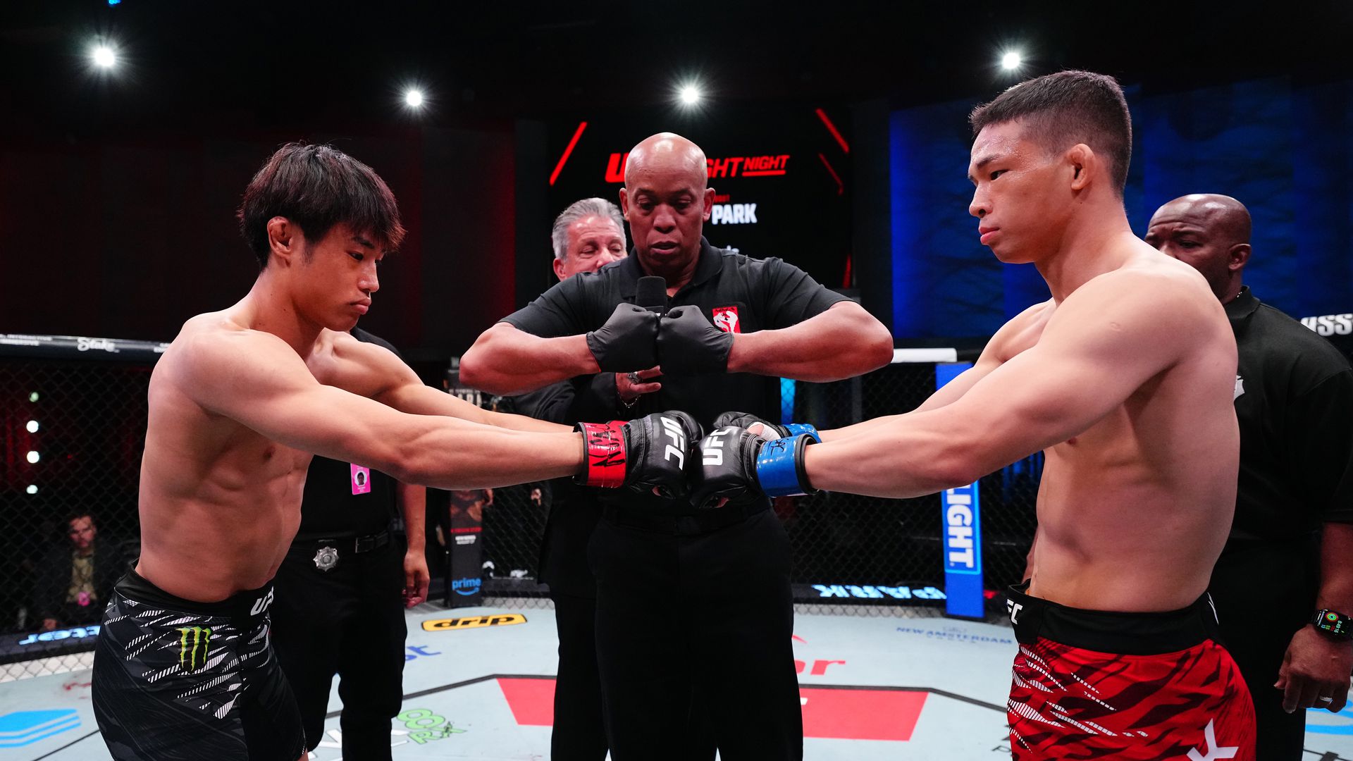 UFC Vegas 108 Results, Highlights