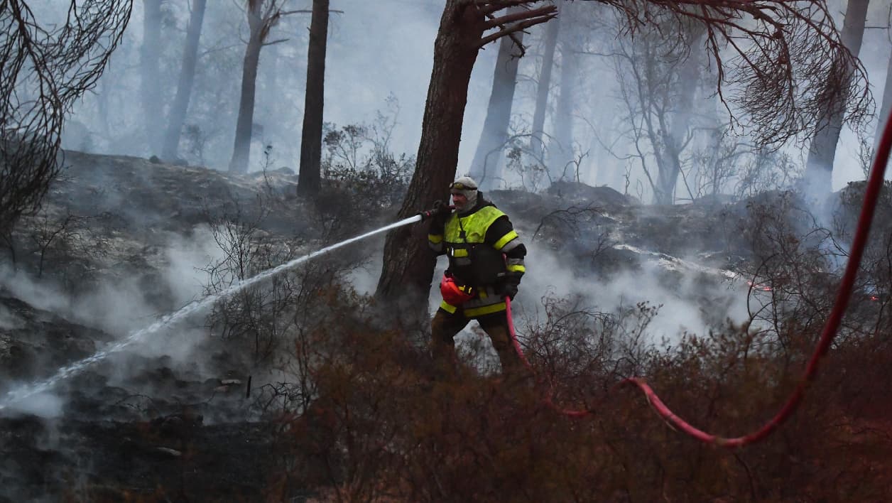 Incendies: les Bouches-du-Rhône en risque "très élevé" de feux de ...