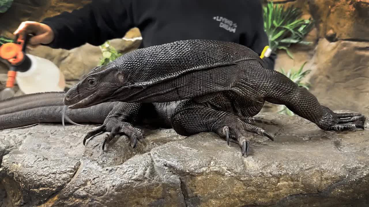 Come give Gilly a bath with me!