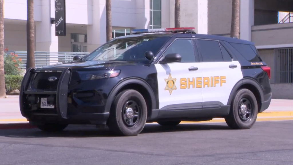 Riverside County deputies seize over 2,000 marijuana plants during ...