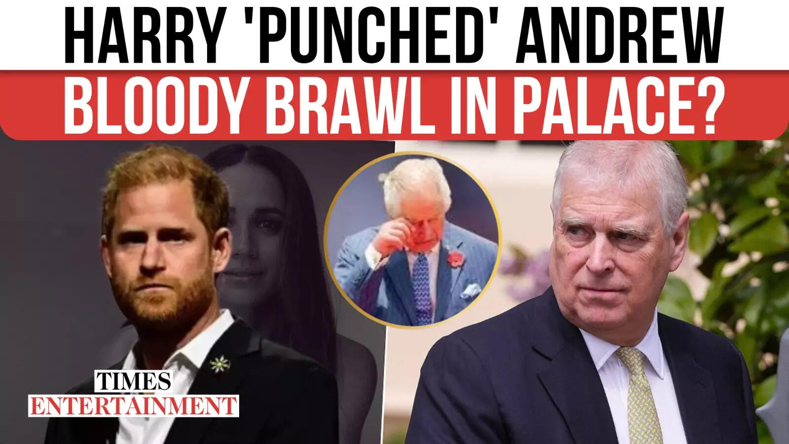 Did Harry Hit Prince Andrew Over Meghan? Shocking Book Claims Draw ...