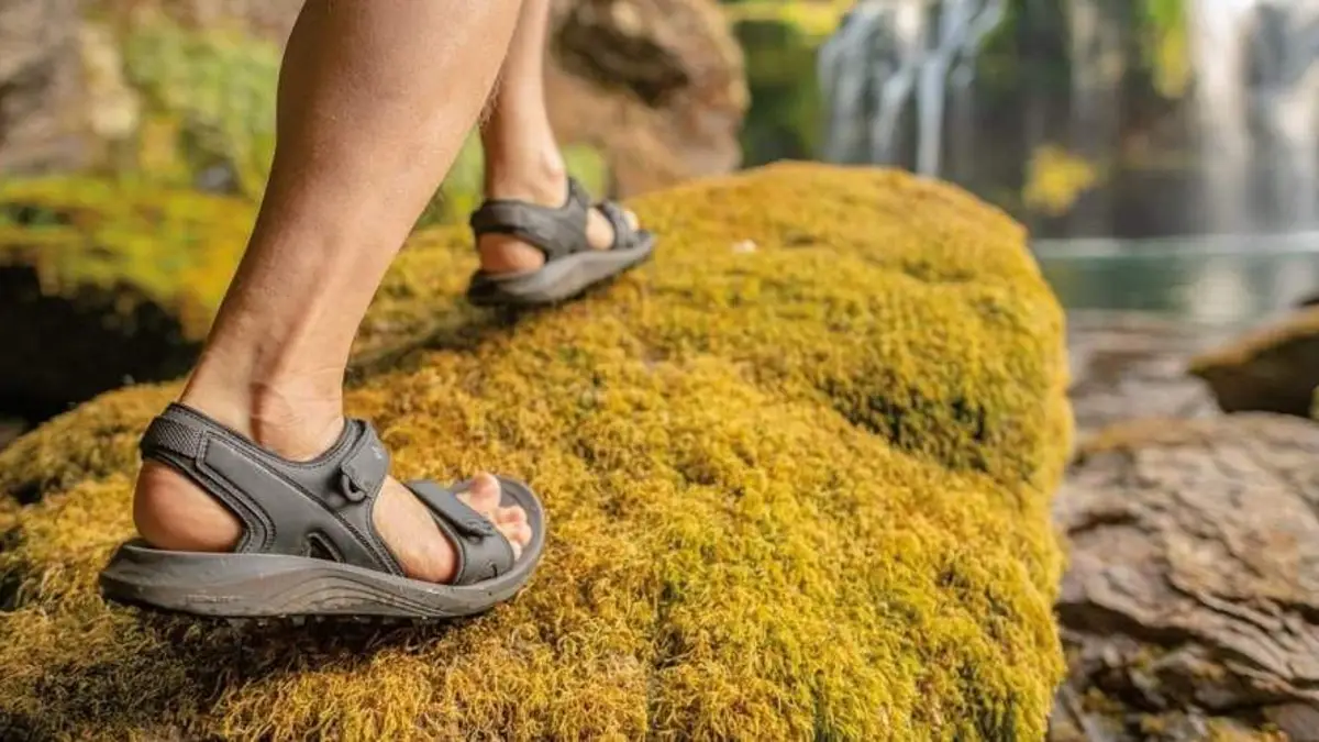 Adiós a las chanclas incómodas: estas sandalias Columbia sujetan ...