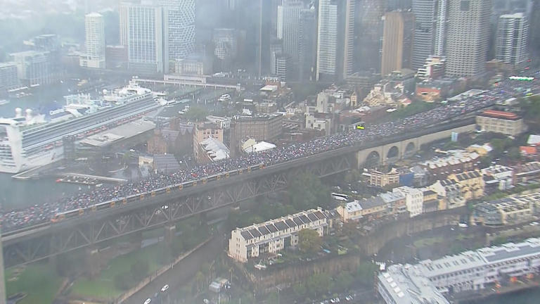 Police feared 'perilous situation' as 90,000 joined pro-Palestine march ...