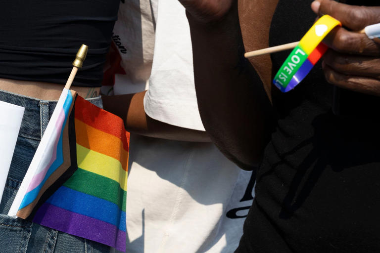 Ann Arbor Pride celebrates the LGBTQ+ community and allyship