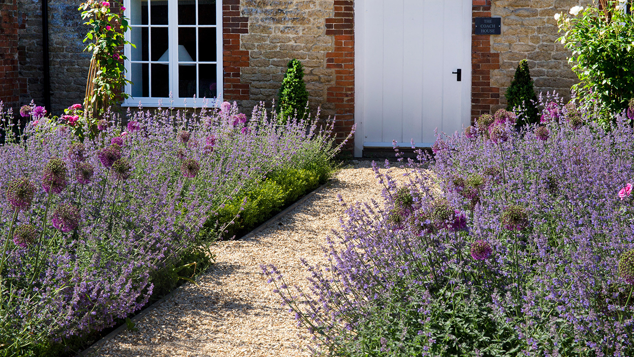 9 Reasons Why You Should Grow Lavender And Rosemary By Your Front Door
