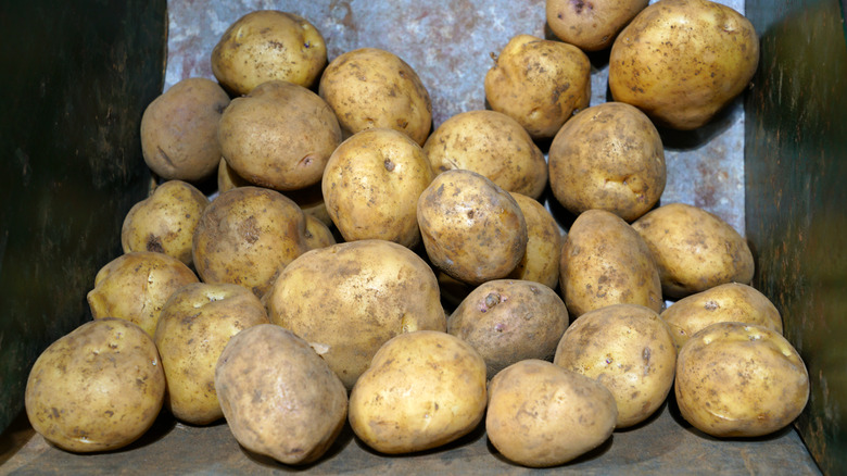 The Ultimate Guide To Different Potato Varieties