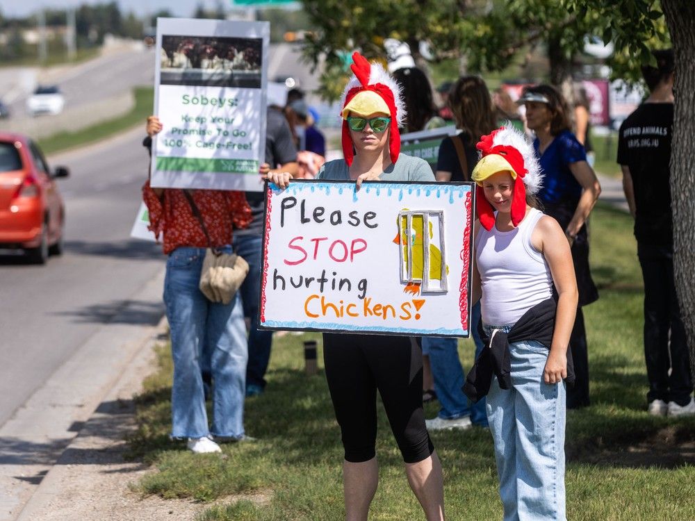 Advocacy group stages Calgary protest near grocery store over plight of ...