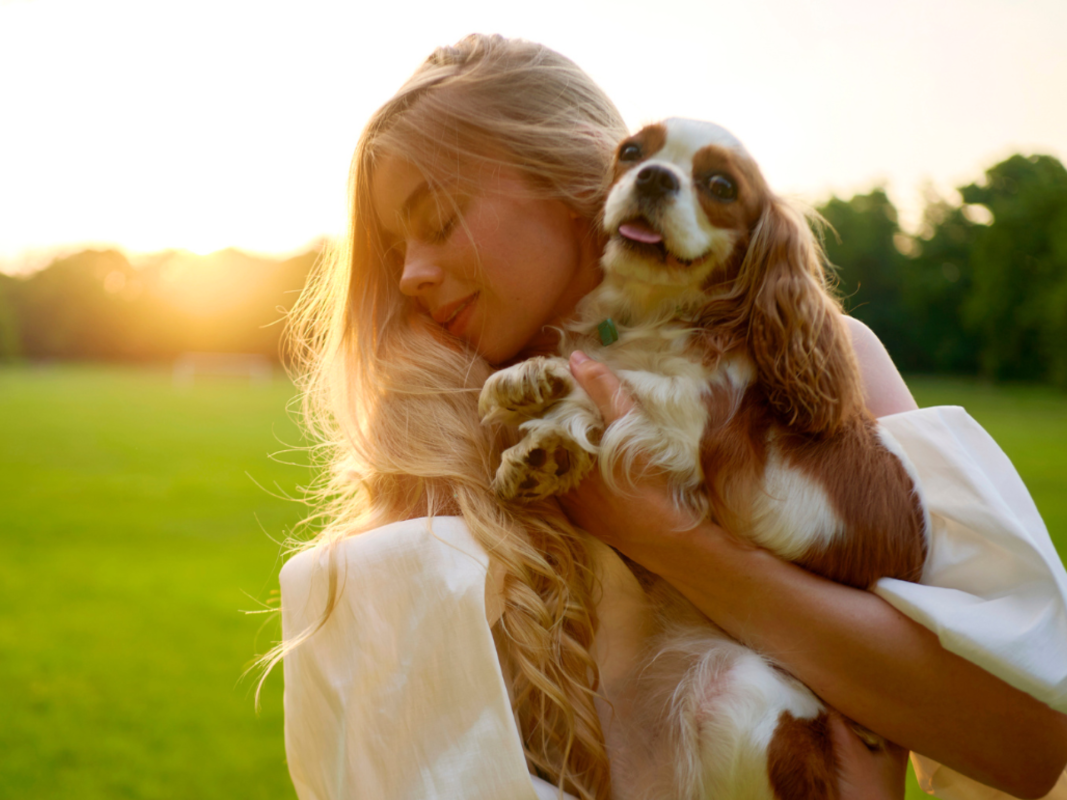 7 Cottagecore Dog Breeds Perfect for Rustic Souls and Settings