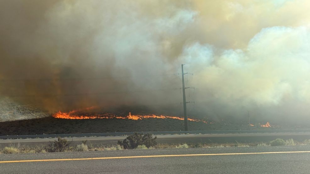 Peavine Fire burns roughly 120 acres near Cold Springs, 90 percent ...