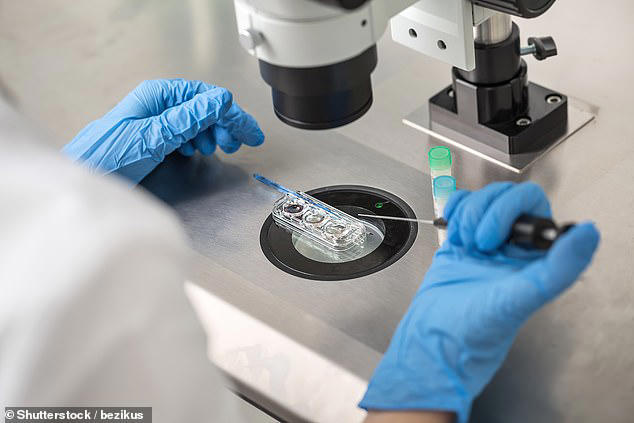 Couples using IVF to conceive may be more successful during the summer ...
