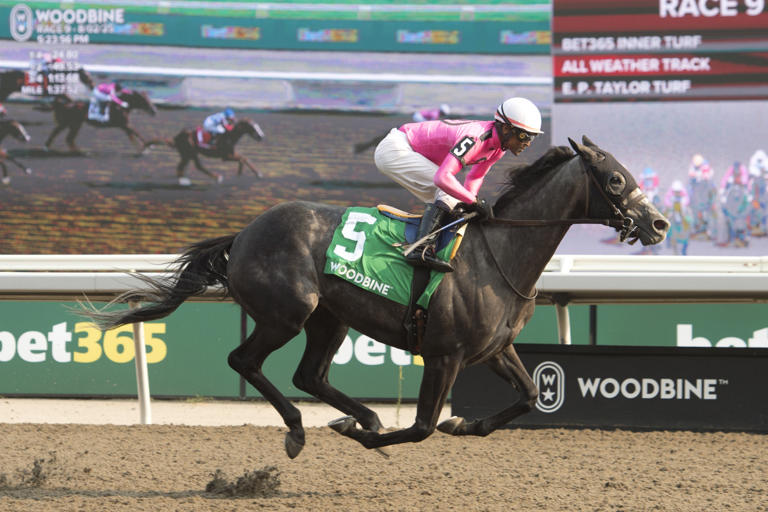 'All Class': Swift Delivery Notches First Stakes Win In Seagram Cup