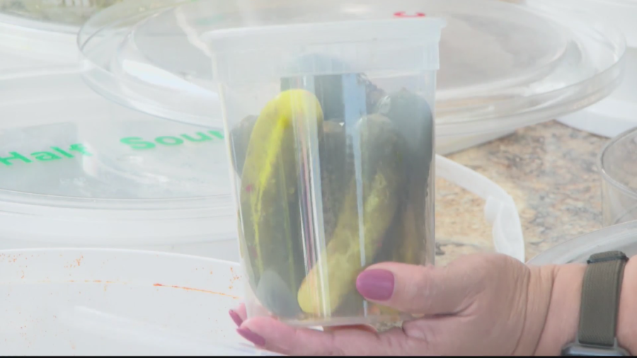 Pickle This Pickle That Pickle Fest kicks off in Forty Fort