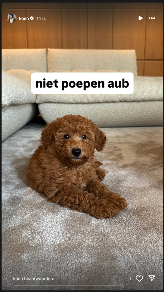 Roxy Dekker en Koen van Heest verwelkomen nieuw huisdier: 'Niet poepen aub'