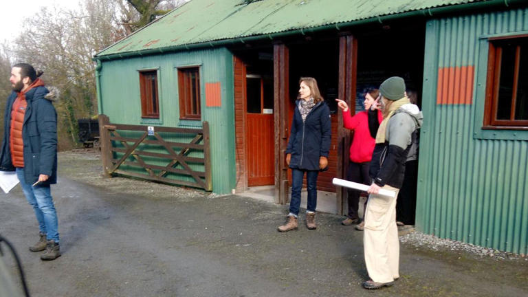 Fake or Fortune: Is a £35 painting worth £50,000?