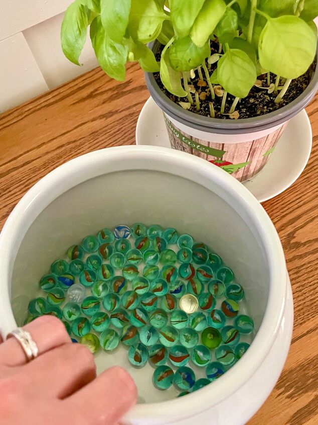How to Repot a Plant