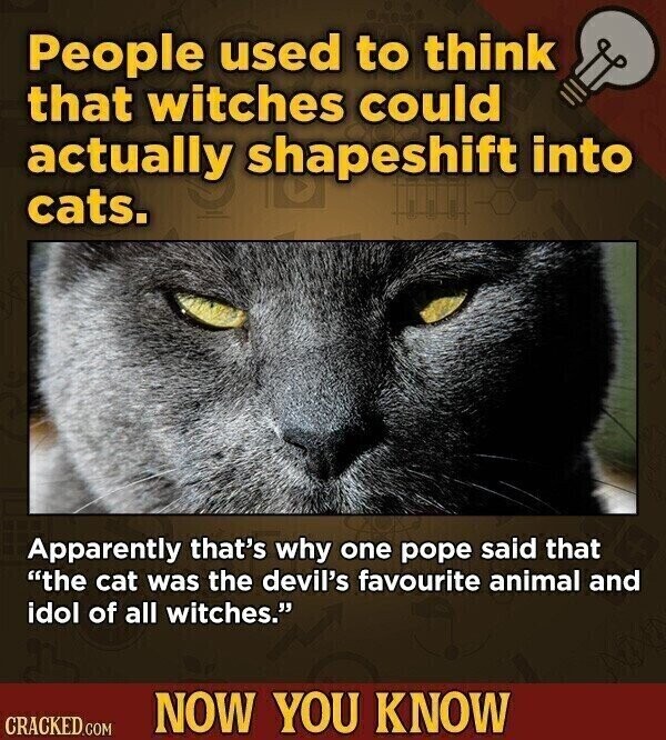 29 Fantastic Facts That Fit in Your Busy Schedule
