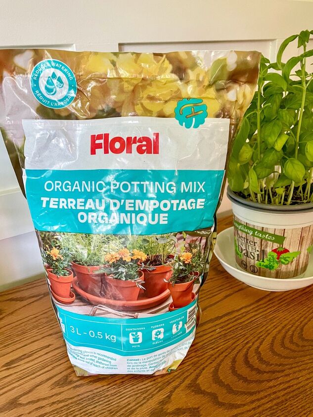 How to Repot a Plant