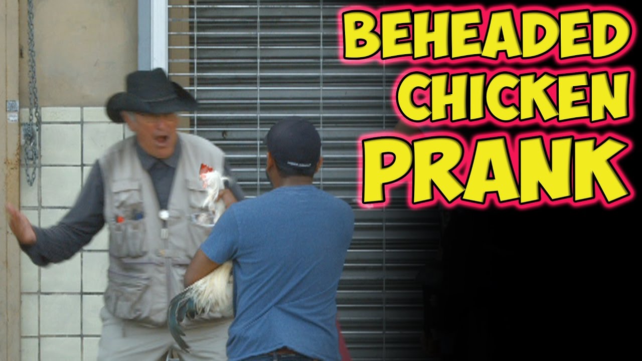 Beheaded Chicken Prank!!