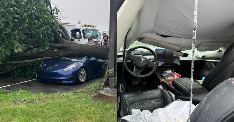 Safer than bomb shelter? Internet stunned after Elon Musk's Tesla Model ...