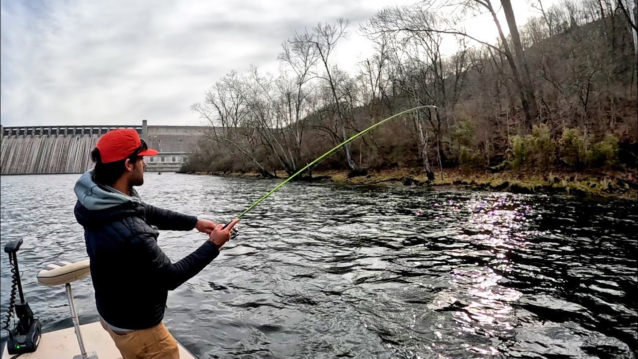 Thought I was snagged until the fish made a huge jump