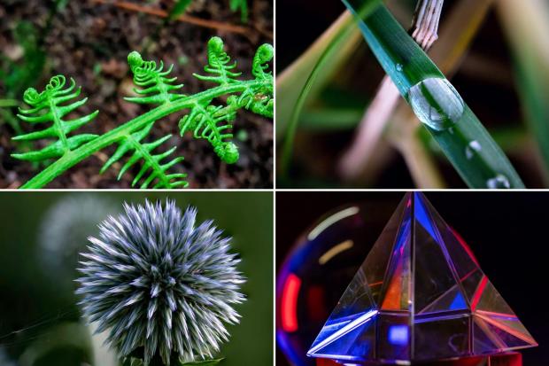 Fascinating photos of geometric shapes and patterns in nature across Wirral