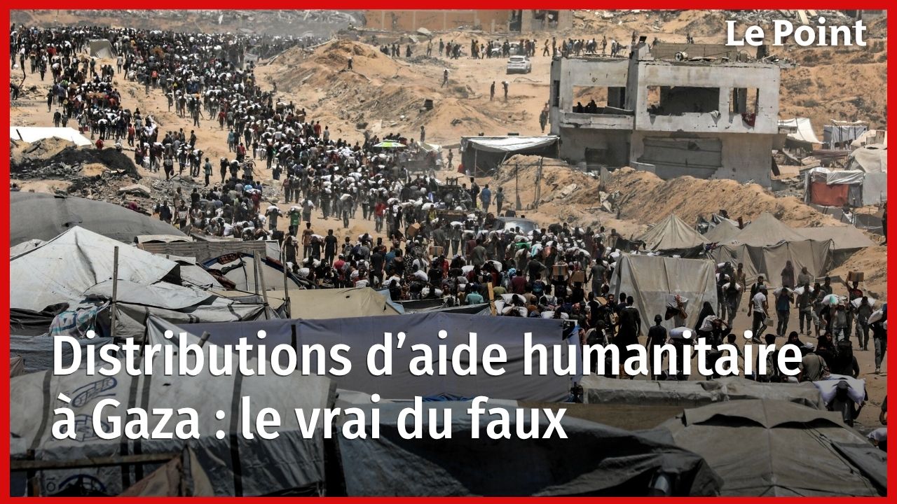 Distributions d’aide humanitaire à Gaza : le vrai du faux