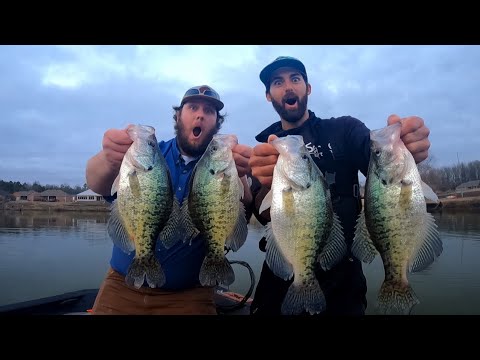 Nonstop Slab Crappie Found Loaded in the Creek