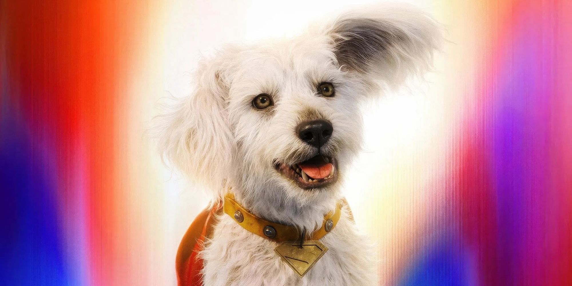 10 Lessons the DCU Must Learn From DC's Best Animated Shows