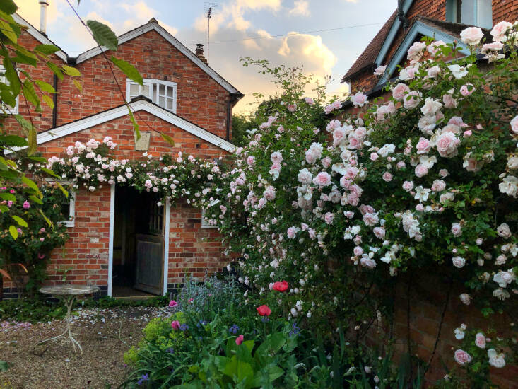 Quick Takes With: Kendra Wilson