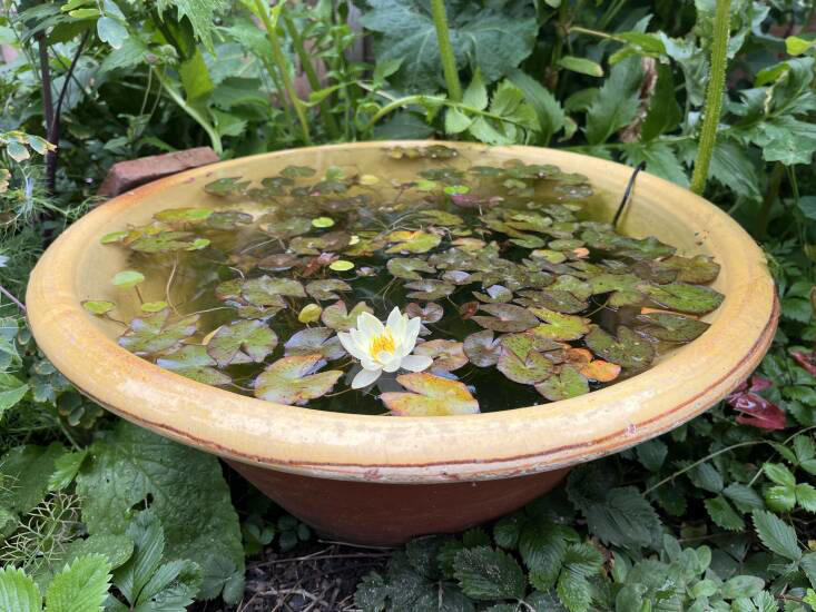 Quick Takes With: Kendra Wilson