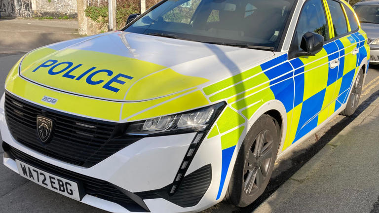 Investigation into Plymouth serious sexual assault