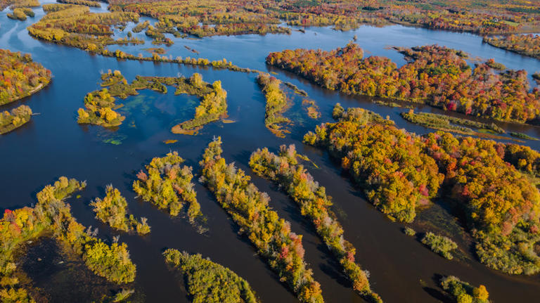 This Nature-Filled Midwest City Is An Artsy Escape Offering Sculpture ...