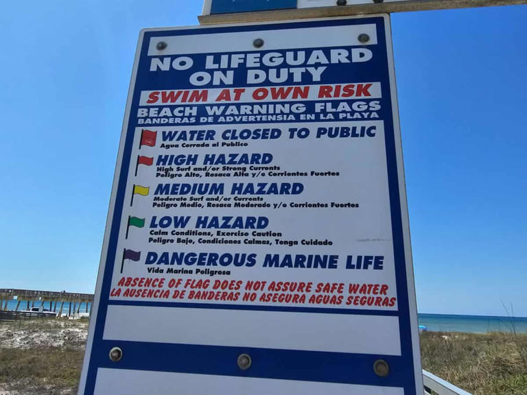 Dog Beach at Pier Park Panama City Beach: Where your pup can play in ...