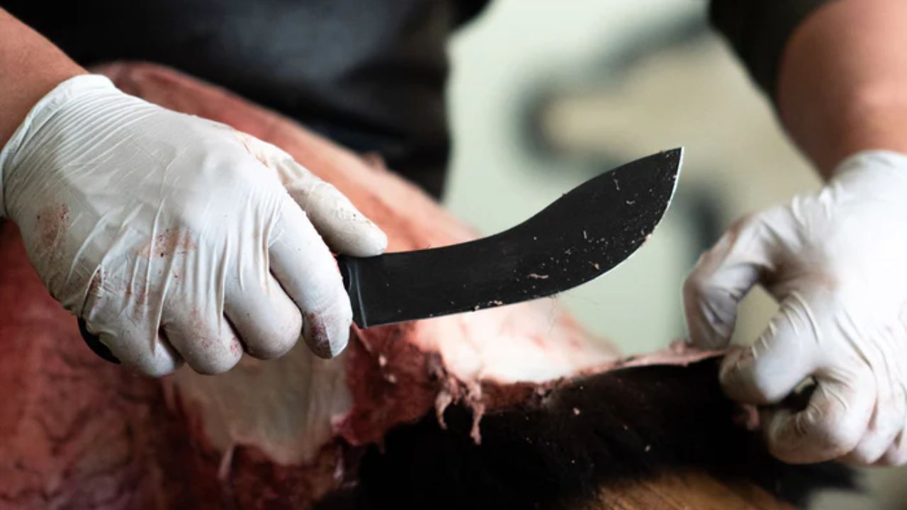 Knives That Cut Clean Through Bone and Tendon