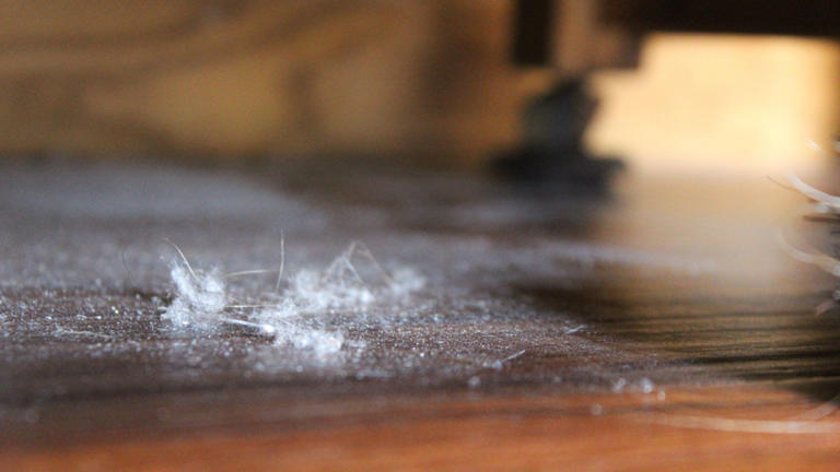 Should you vacuum or dust first? Cleaning experts reveal the optimal order