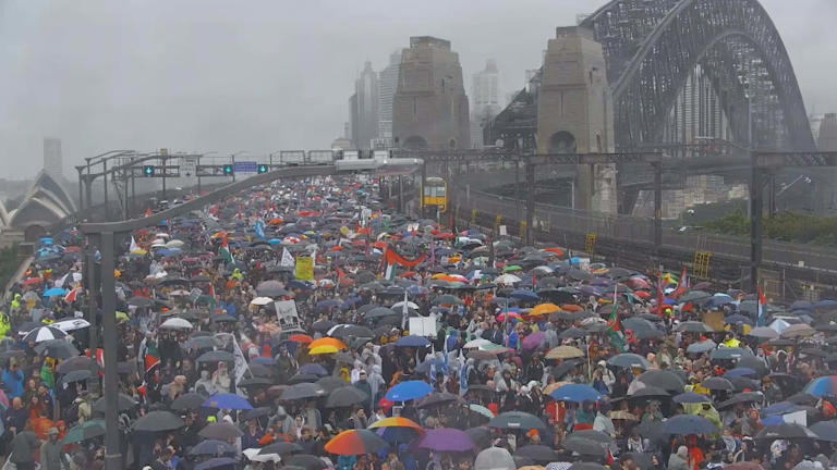 Police feared crowd crush amid 'perilous' Sydney Harbour Bridge march