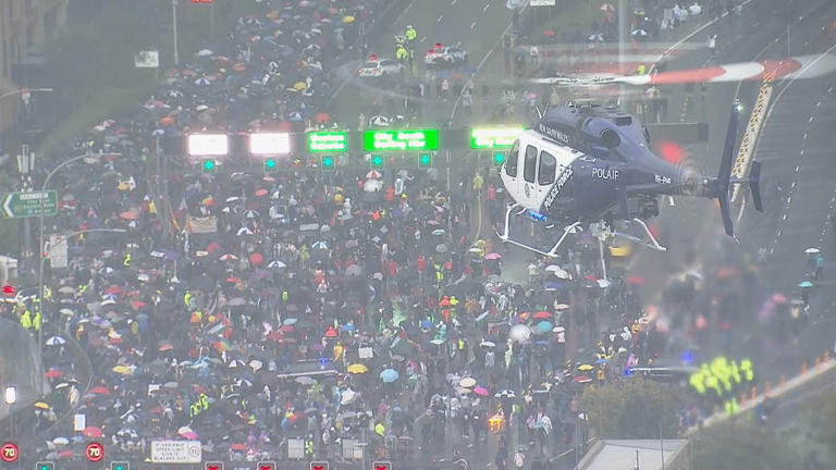 Police feared 'perilous situation' as 90,000 joined pro-Palestine march ...