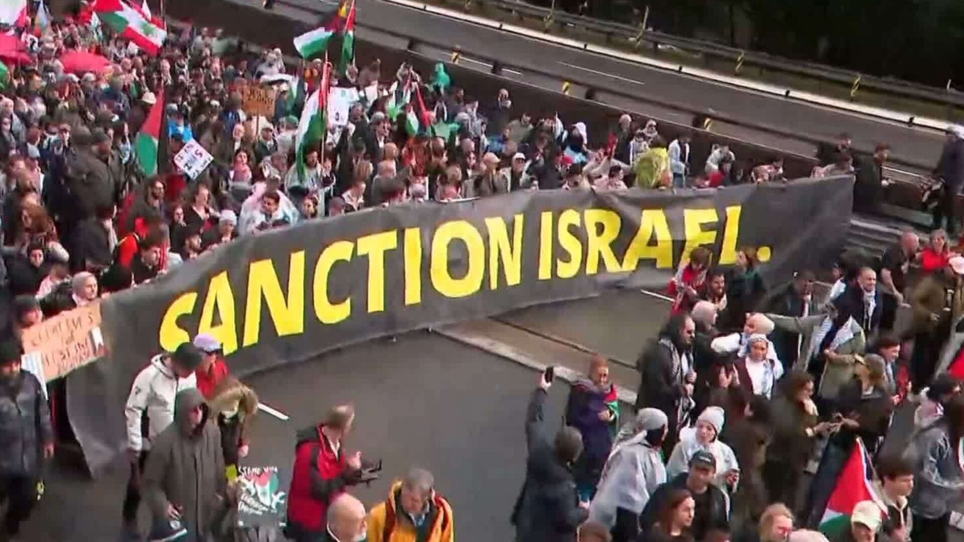 Anti-Israel Sydney Harbour Bridge protest calls for death of Israeli ...