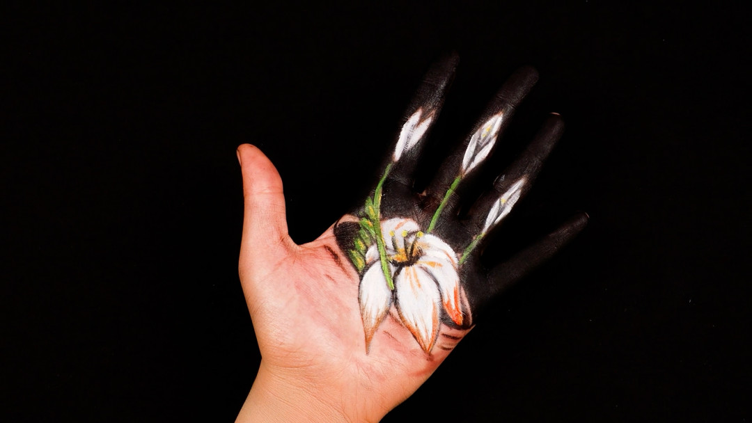 Spark Curiosity With Illusion Art