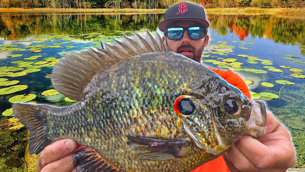 Secret Lake Holds Record-Breaking Shellcrackers