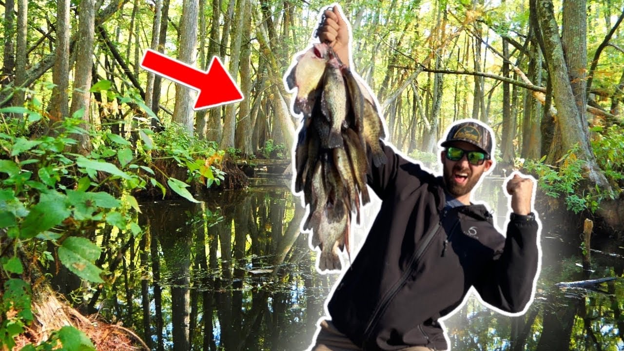Deep in the Swamp, Crappie Are Biting Like Crazy